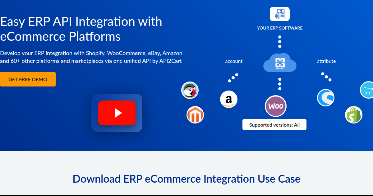 ERP Integration with eCommerce Platforms - API2Cart