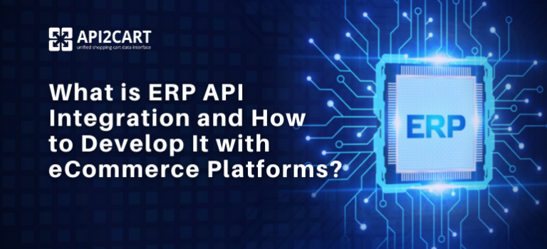 What is ERP API integration in the eCommerce Sphere? - API2Cart
