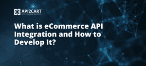 eCommerce API Integration: What It Is and How to Develop It