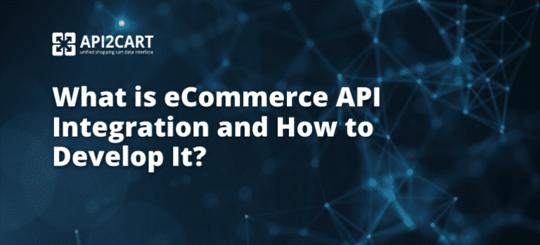 eCommerce API Integration: What It Is and How to Develop It