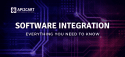 Software Integration: Everything You Need to Know - API2Cart