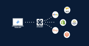 Shopify Shopping Cart API: How to Integrate Your Shopping Cart