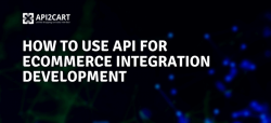 How to Use API for eCommerce Integration Development - API2Cart
