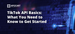 TikTok API Basics: What You Need to Know to Get Started - API2Cart